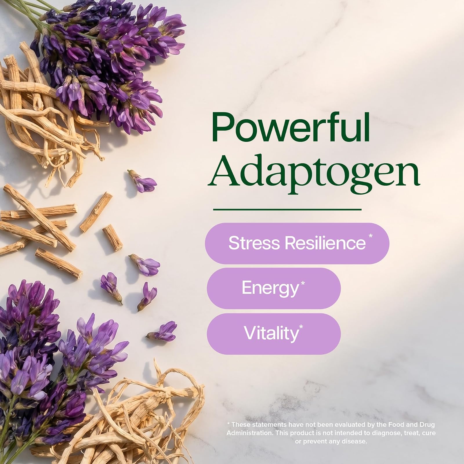 herbal remedy astragalus root extract