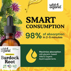 herbal remedy burdock root extract