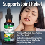 herbal remedy Devil's Claw benefits