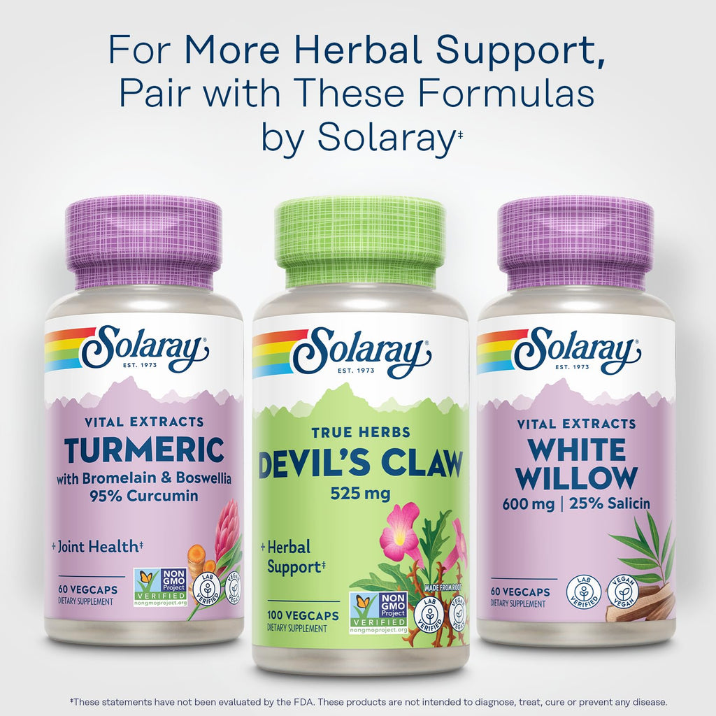 herbal remedy Devil's Claw for wellness