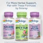 herbal remedy Devil's Claw for wellness