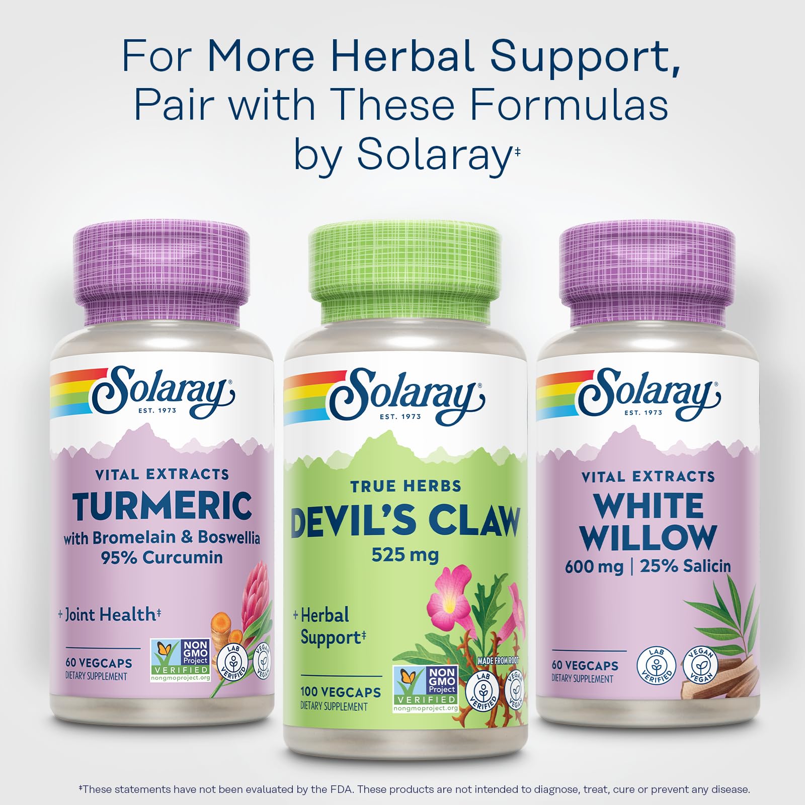 herbal remedy Devil's Claw for wellness