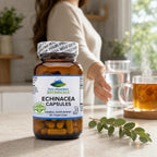 herbal remedy echinacea capsules