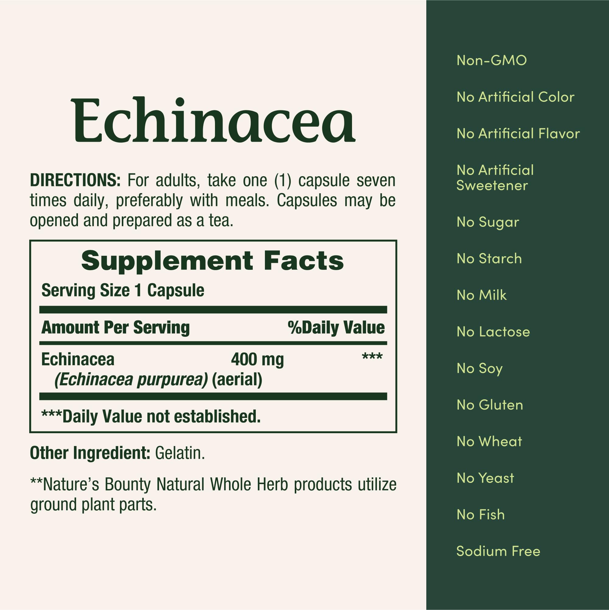 herbal remedy echinacea for colds