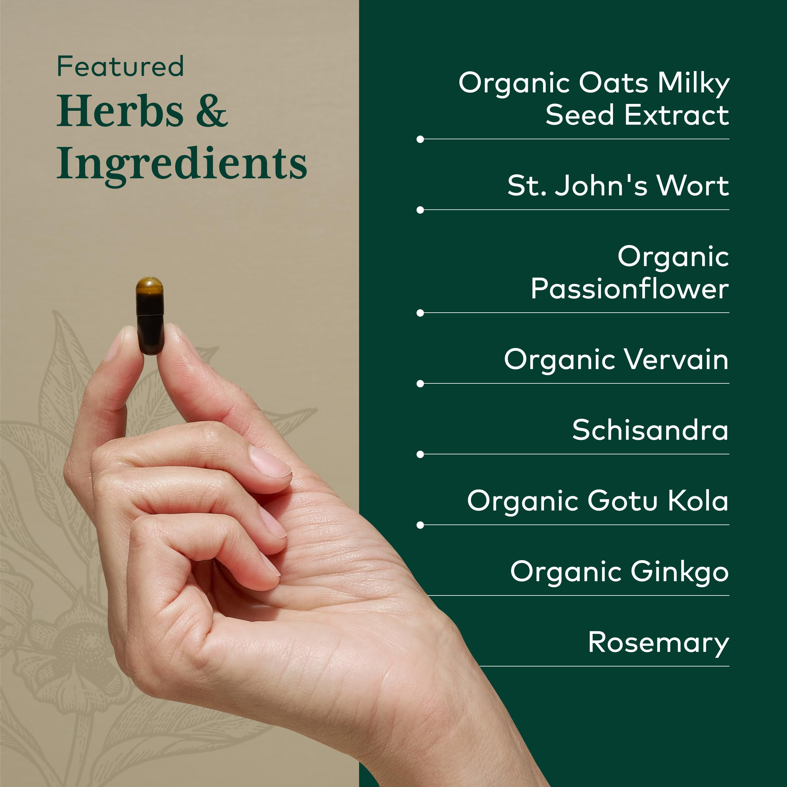 herbal remedy for anxiety management