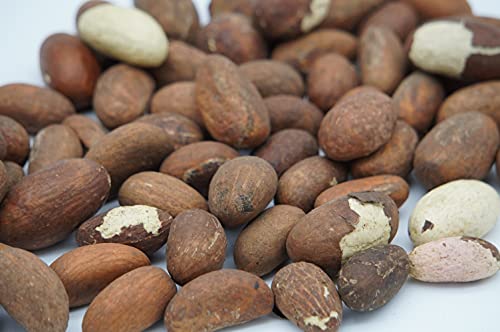 herbal remedy for appetite control
