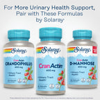 Herbal remedy for bladder health