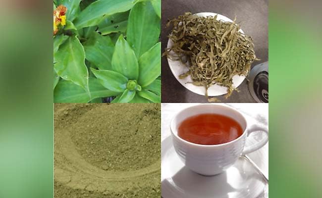 herbal remedy for blood sugar