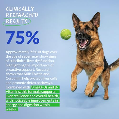 Herbal remedy for canine liver health