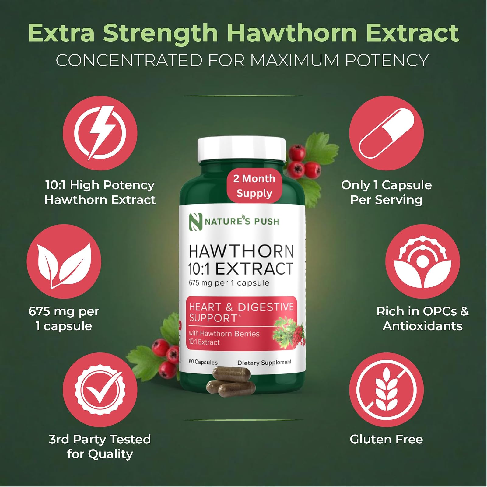 Herbal remedy for cardiovascular support
