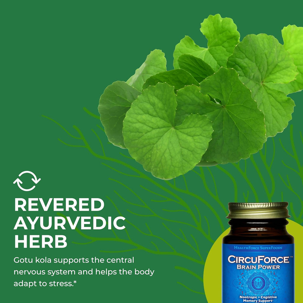Herbal remedy for circulation health