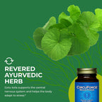 Herbal remedy for circulation health