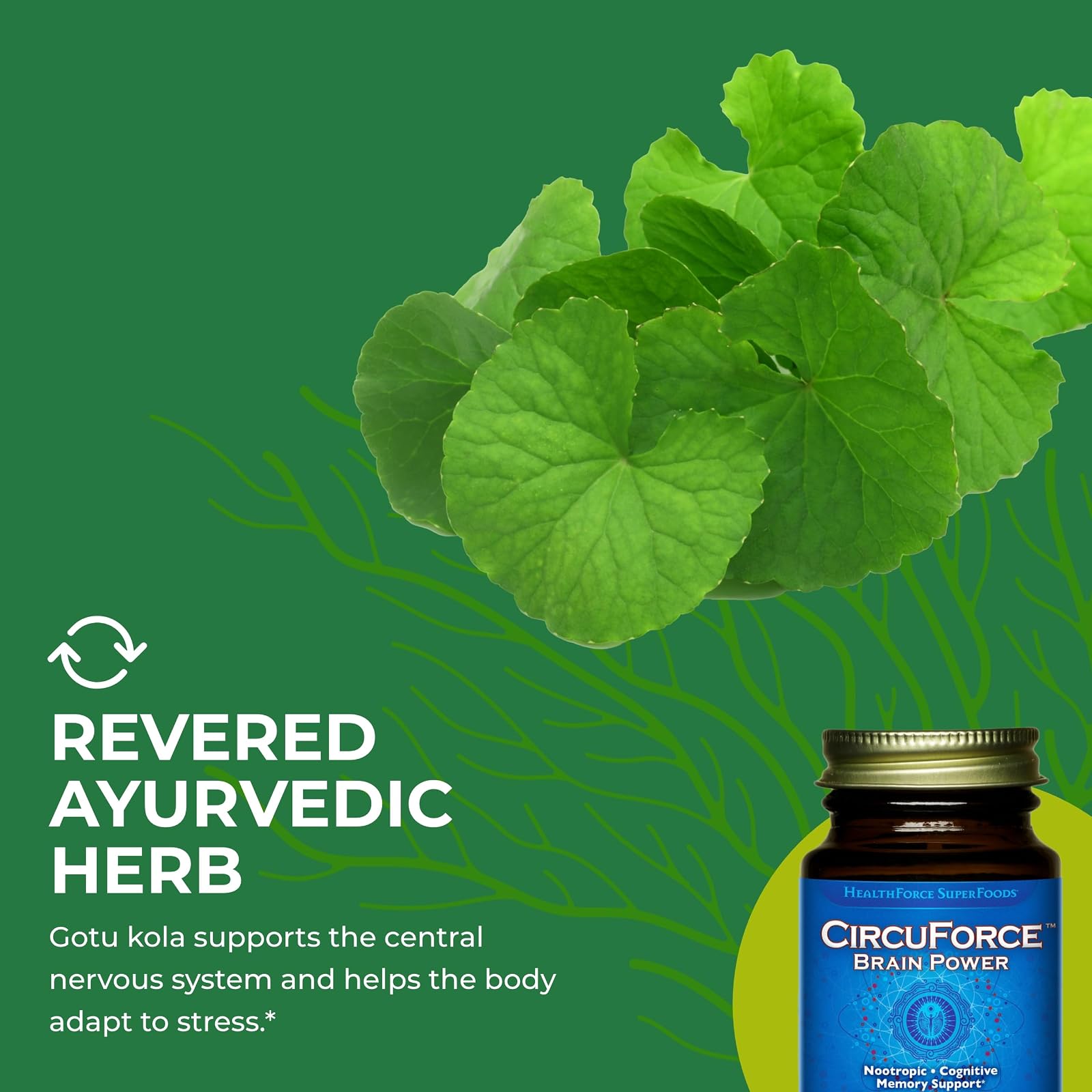 Herbal remedy for circulation health