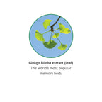 Herbal remedy for cognitive support