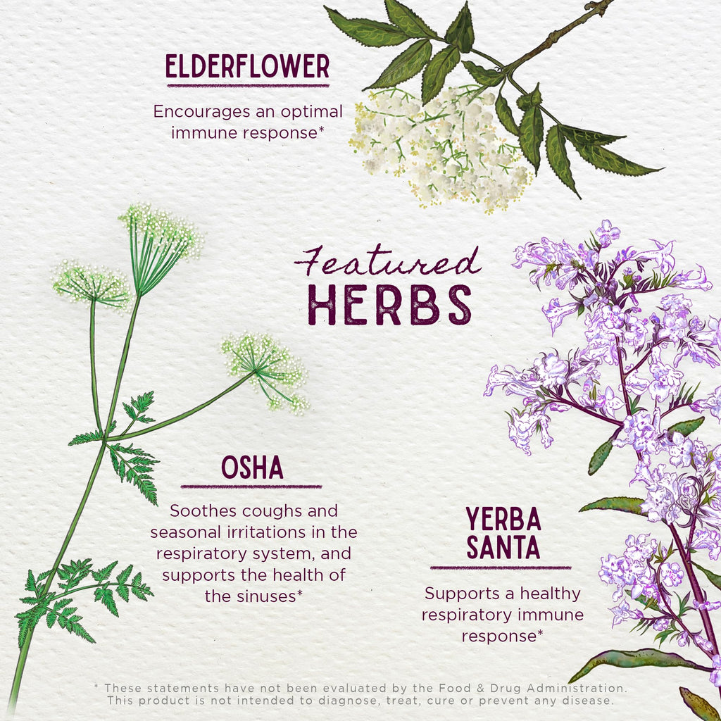 Herbal remedy for cold symptoms