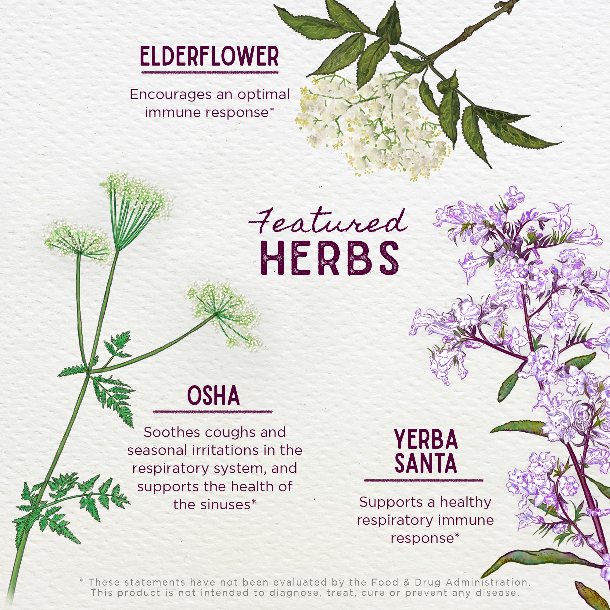 Herbal remedy for cold symptoms