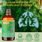 Herbal remedy for cough relief