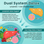 Herbal remedy for detoxification