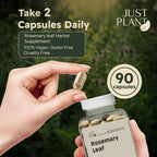herbal remedy for digestion