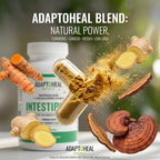 Herbal remedy for digestion