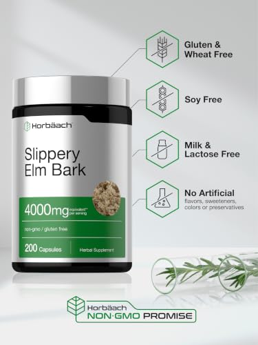 herbal remedy for digestive comfort