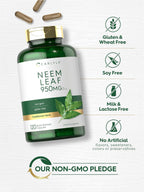 Herbal remedy for digestive comfort