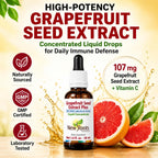 Herbal remedy for digestive health