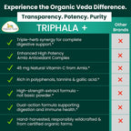 Herbal remedy for digestive health