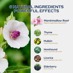 Herbal remedy for digestive health