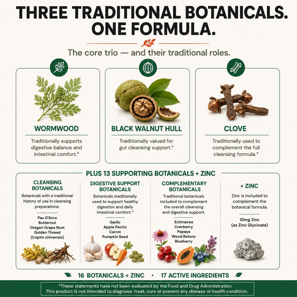 herbal remedy for digestive health