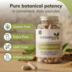 herbal remedy for digestive health