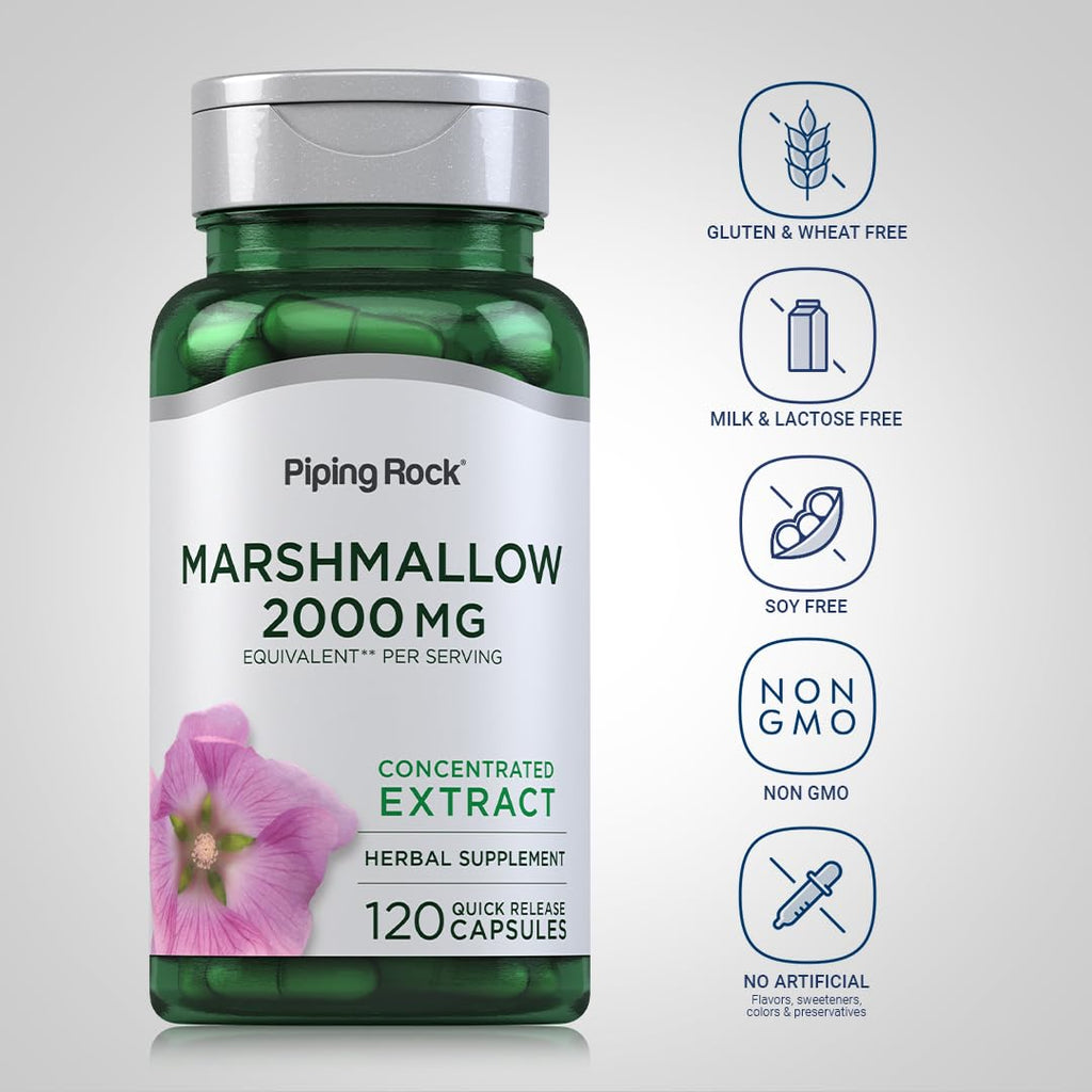 herbal remedy for digestive health