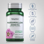 herbal remedy for digestive health