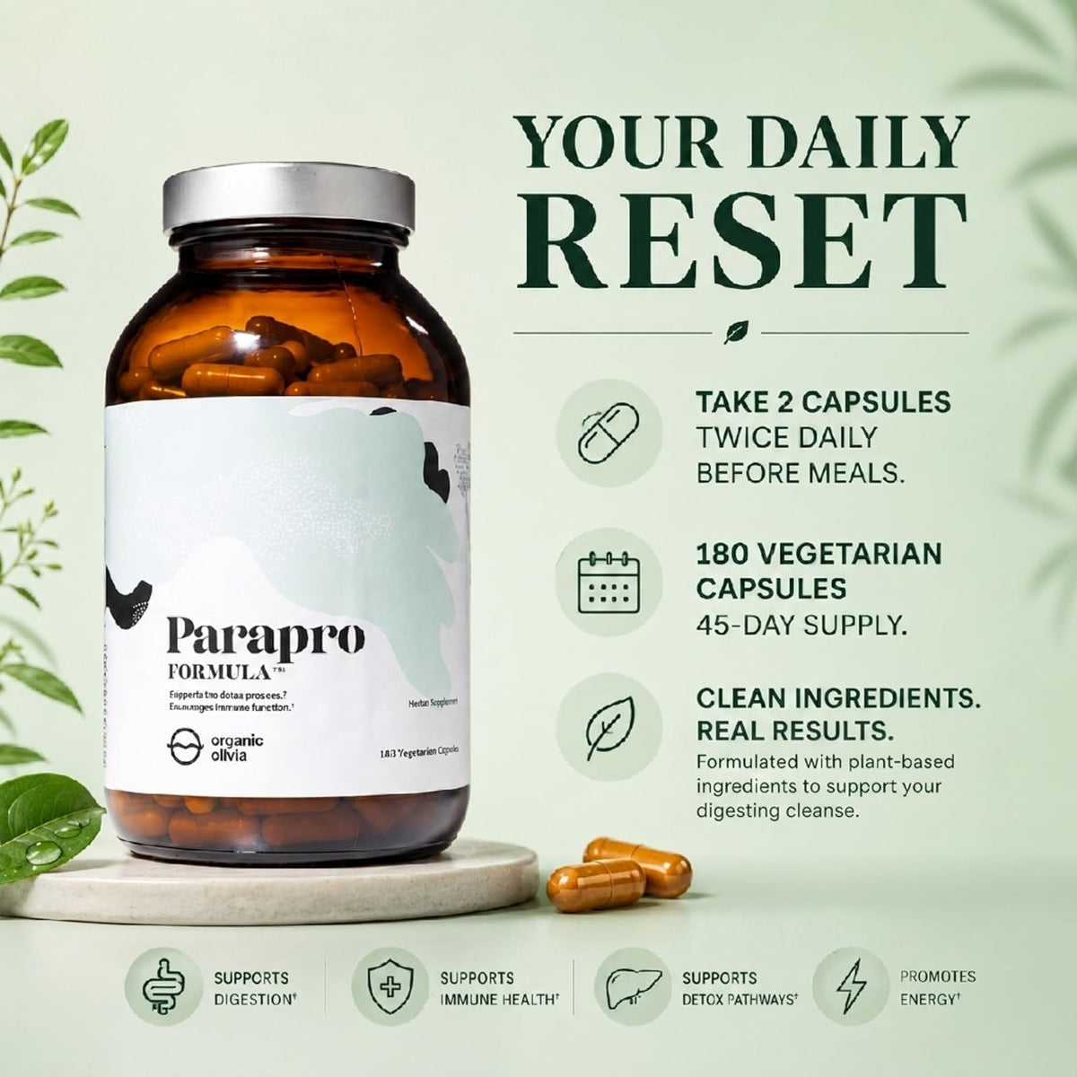 herbal remedy for digestive health
