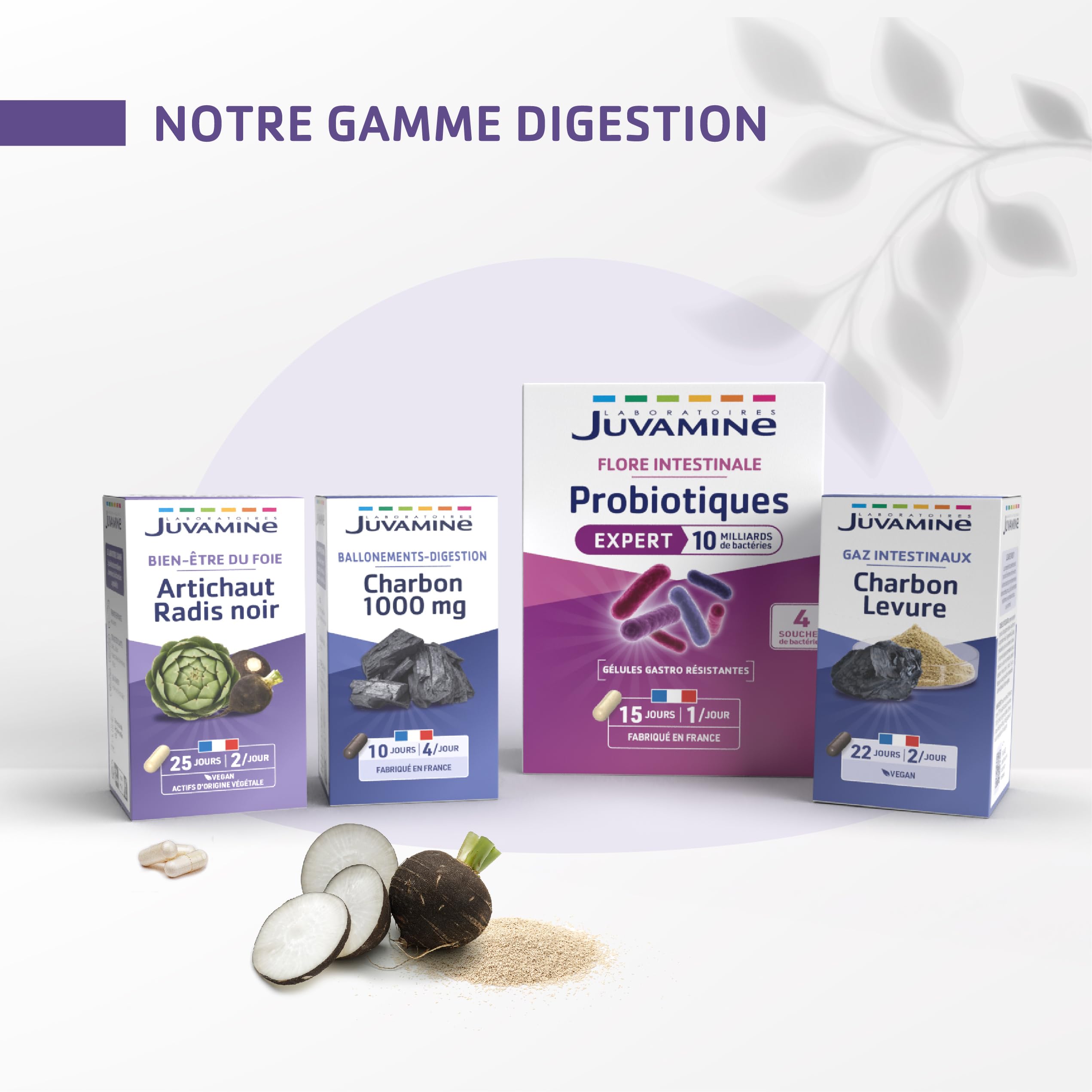 herbal remedy for digestive issues