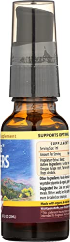 herbal remedy for digestive issues