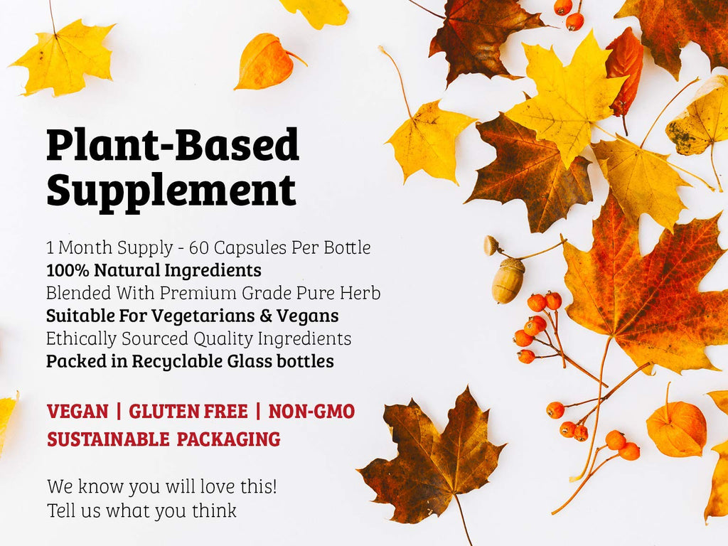 herbal remedy for digestive support