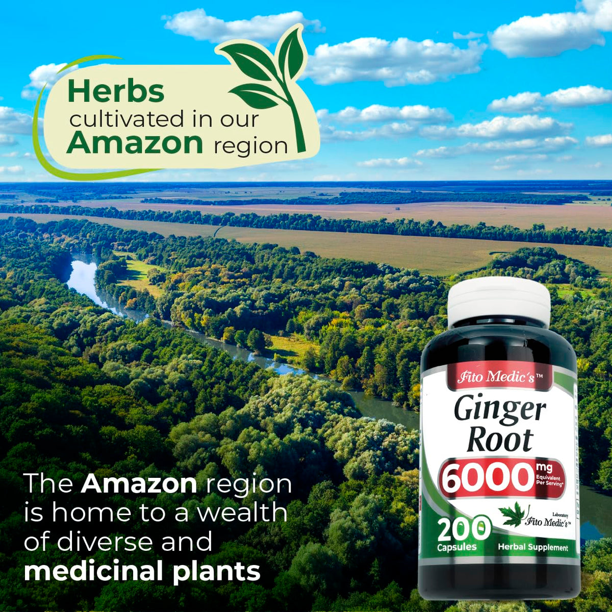 herbal remedy for digestive support