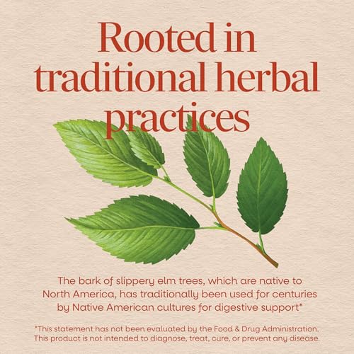 Herbal remedy for digestive wellness