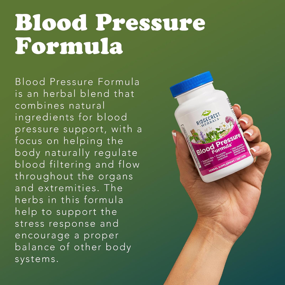 herbal remedy for healthy blood pressure