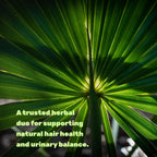 herbal remedy for hormonal balance
