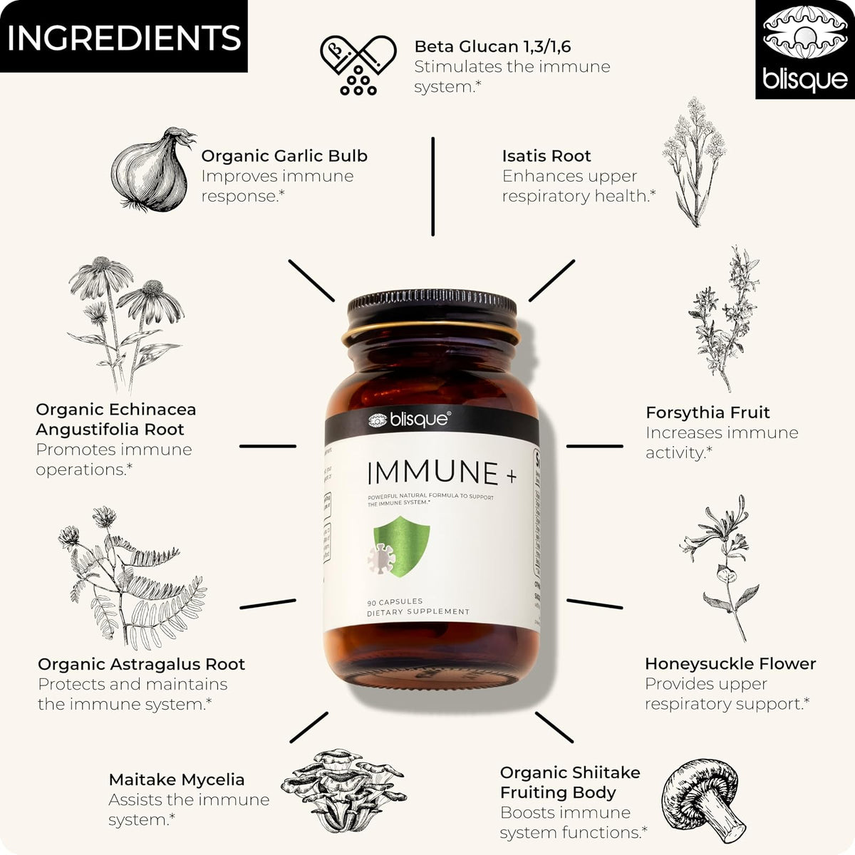 Herbal remedy for immune health