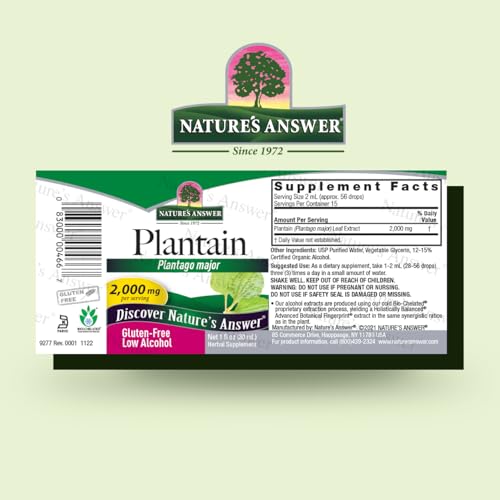 herbal remedy for immune health