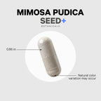 Herbal remedy for immune support