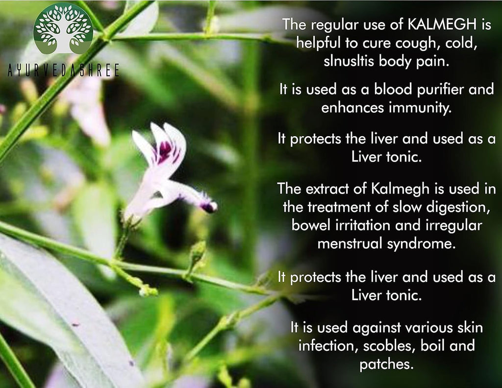 herbal remedy for immune system boost
