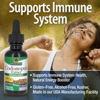 Herbal remedy for increased stamina
