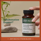 herbal remedy for joint discomfort