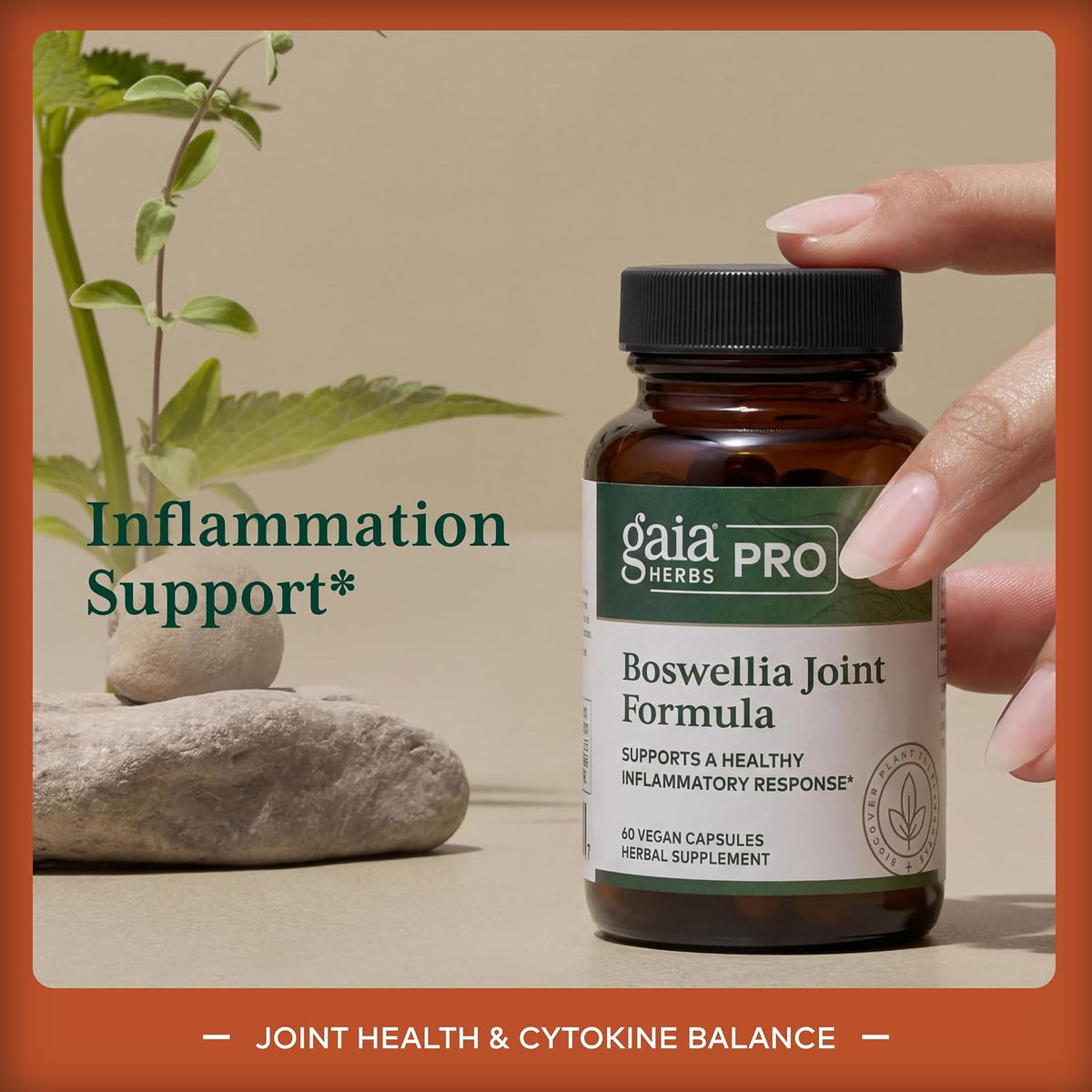 herbal remedy for joint discomfort