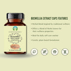 herbal remedy for joint support