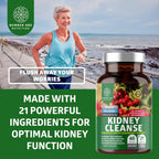 herbal remedy for kidney function